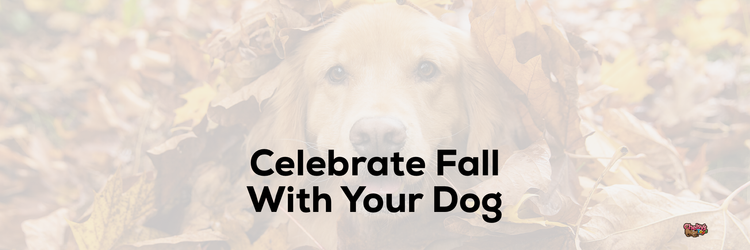 Celebrate Fall With Your Dog – Chelsy's Toys