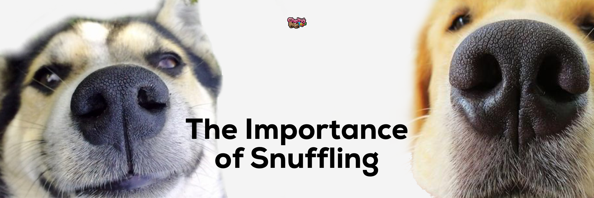 The Importance of Snuffling – Chelsy's Toys