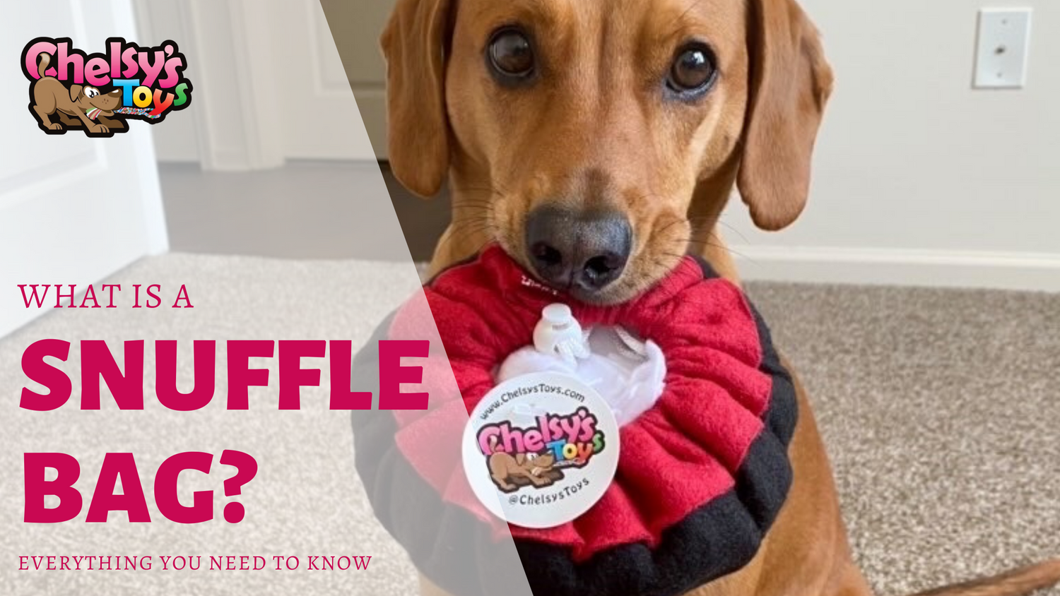 What is a Snuffle Bag? Everything You Need to Know – Chelsy's Toys